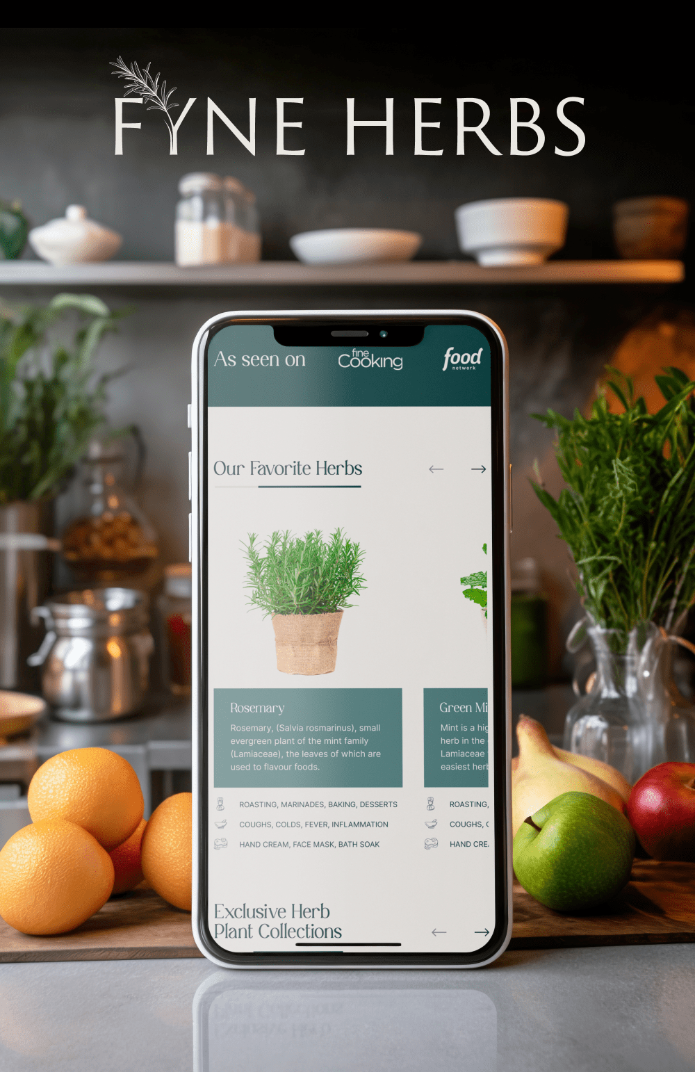 Shopify SEO Consultant | UK - Create Circus