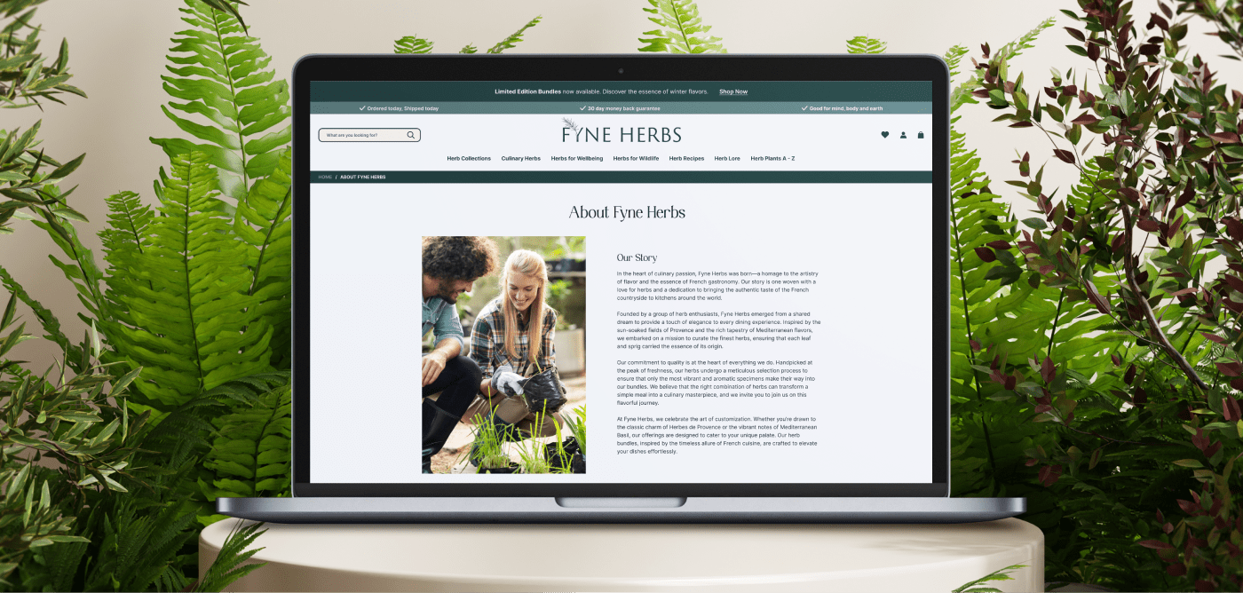 Shopify SEO Consultant | UK - Create Circus